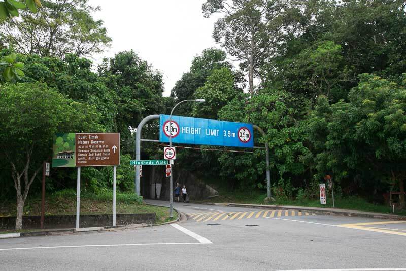 Bukit Timah Nature Reserve: Newly Reopened & Calling For Trail-Seekers