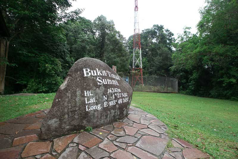 Bukit Timah Nature Reserve: Newly Reopened & Calling For Trail-Seekers
