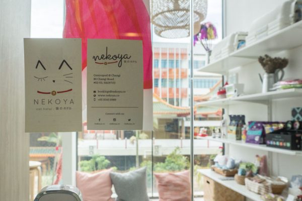 Nekoya Cat Hotel: Board Your Kitties At Singapore's First Cats-Only ...