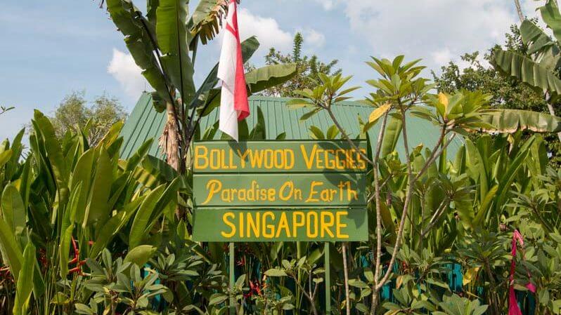 Kranji Countryside: Take A Day Trip & Explore Farms In The Ulu North ...