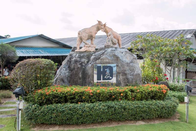 Kranji Countryside: Take A Day Trip & Explore Farms In The Ulu North ...