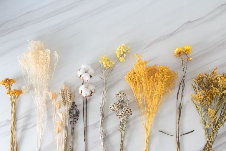 G.G. Fresh Flowers: Create Affordable Bouquets With Flowers From This ...