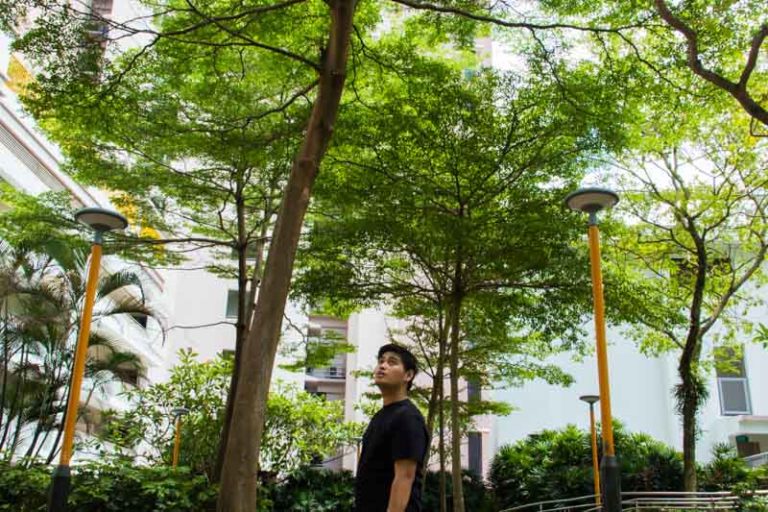 10 Hidden HDB Rooftop Gardens In Singapore - More Than Just Greenery