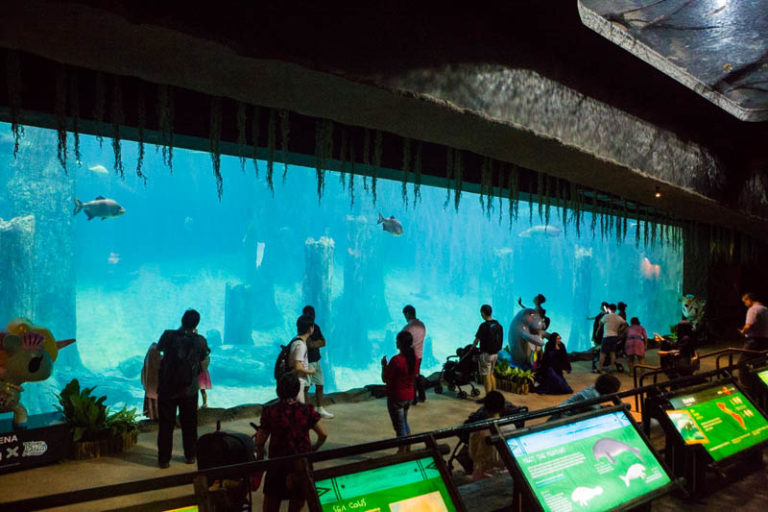 River Safari Singapore: A Wild Adventure You Don't Want To Miss